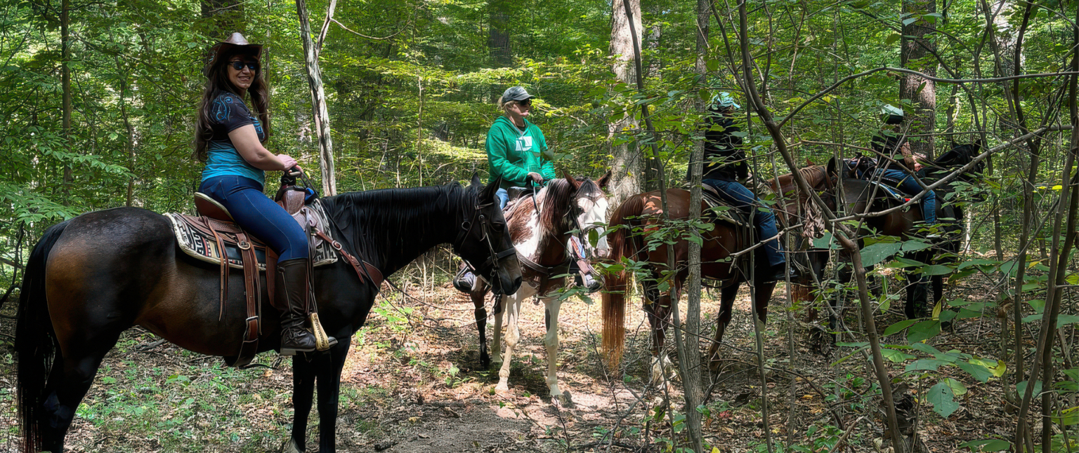Best Ride Ever – Scenic Horseback Riding at Sunny Acres Stables in the ...